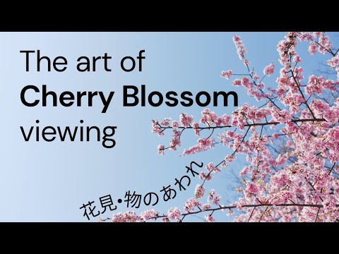 The Meaning Behind HANAMI