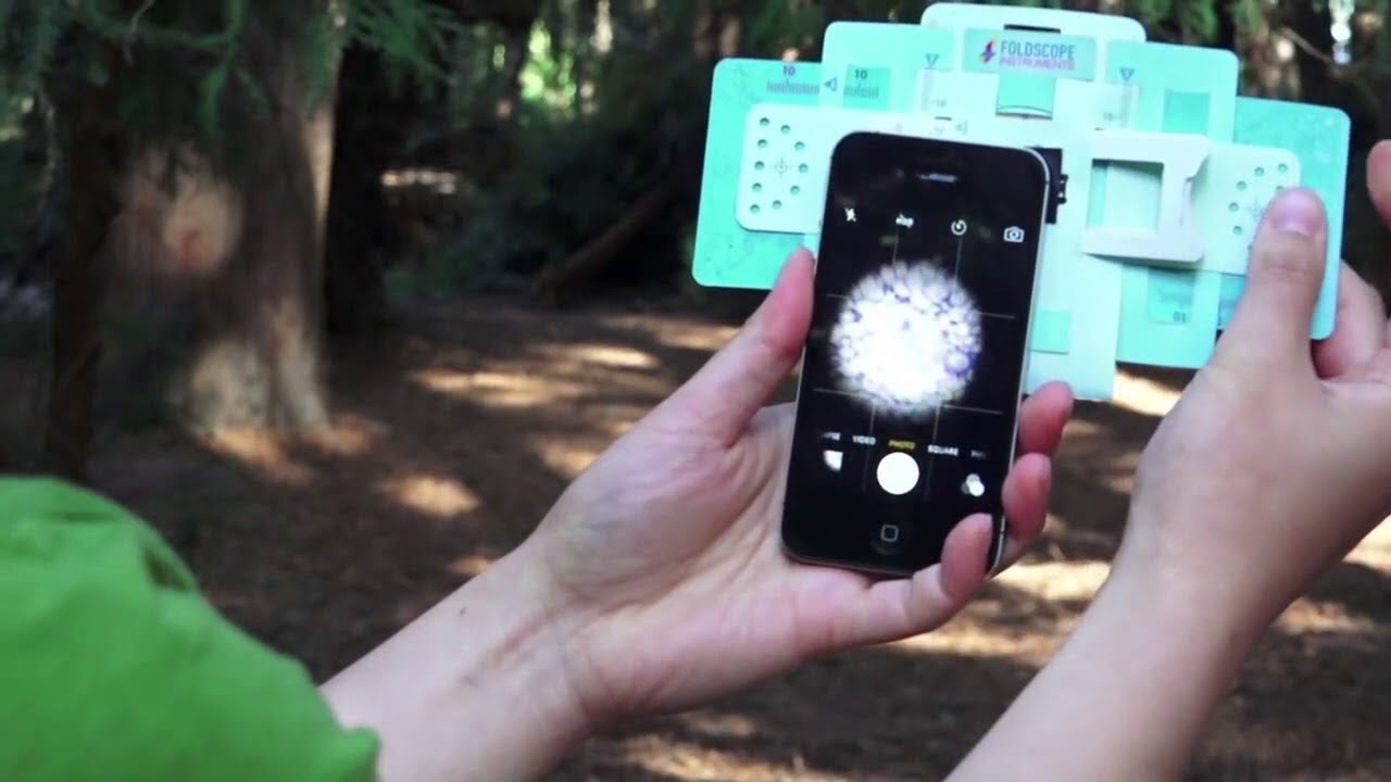 ONLINE Micro Lab 3: Introduction to Compound Light Microscopy