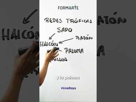 Ejercicios de ciencias naturales del examen de admisión de la UNAL - Redes tróficas