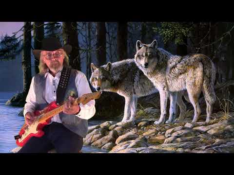 Dances With Wolves (Guitar Instrumental)