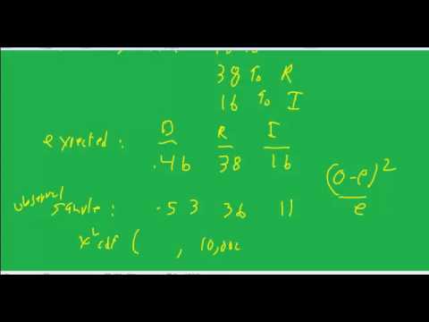 36 stats chi-square goodness of fit test