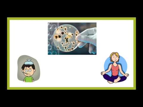 The Unseen Bioindicator – Environmental Pollution: Bioindicators