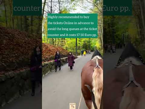 Neuschwanstein Castle 🏰 | A must visit place in Germany with Deutschland Ticket | Episode 21