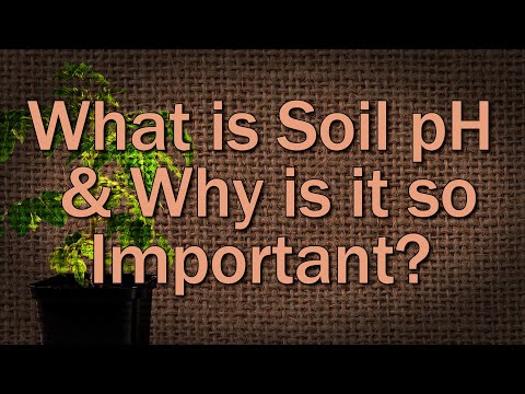 What is Soil pH and why is it so Important? – Family Plot