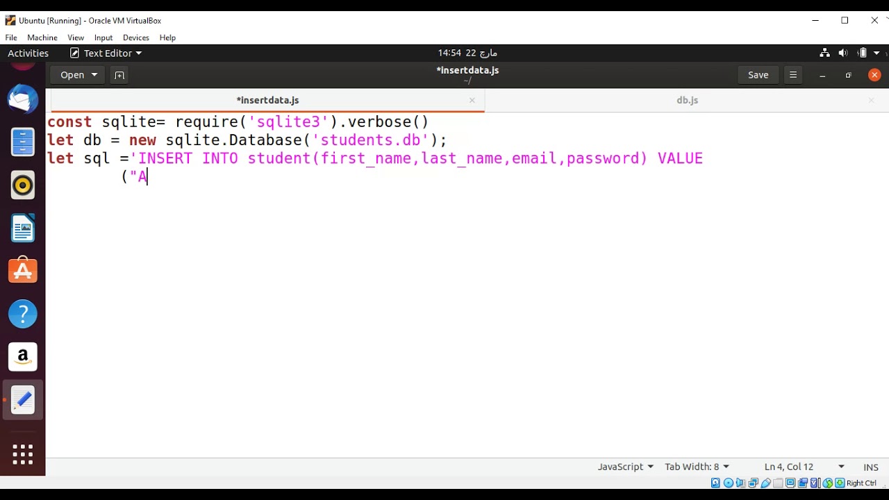 Insert Data into sqlite database with NodeJS app