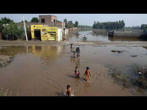 L'appello del Pakistan alla comunità internazionale