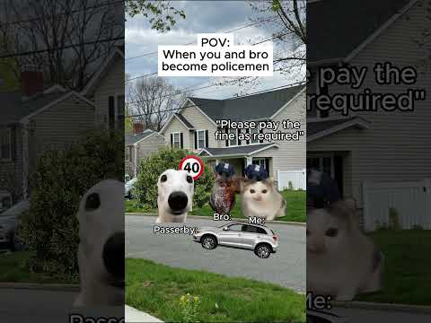 CAT MEMES π± When you and bro become policemen #shorts #catmemes #relatable