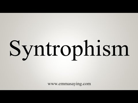 How To Say Syntrophism