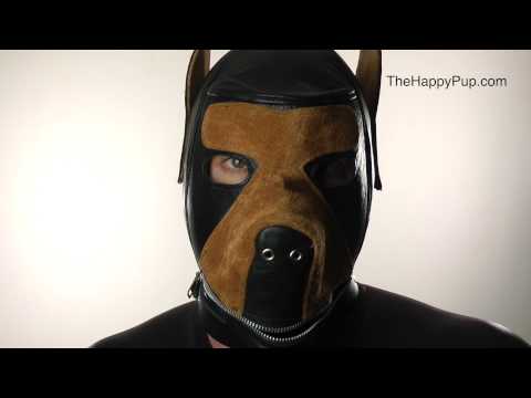 Gpup Alpha In His Leather Pup Hood | Leather Dog Hood