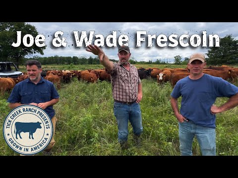 FARM TOUR! 1,500 acres of Premium South Poll cattle