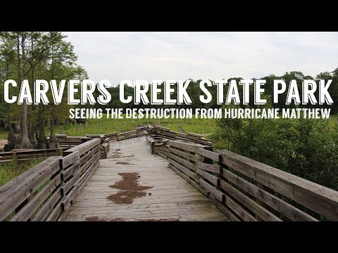 Carvers Creek State Park | Bandit's Roost Campground | Wandering Around In Wonder