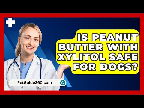 Is Peanut Butter With Xylitol Safe For Dogs? - PetGuide360.com