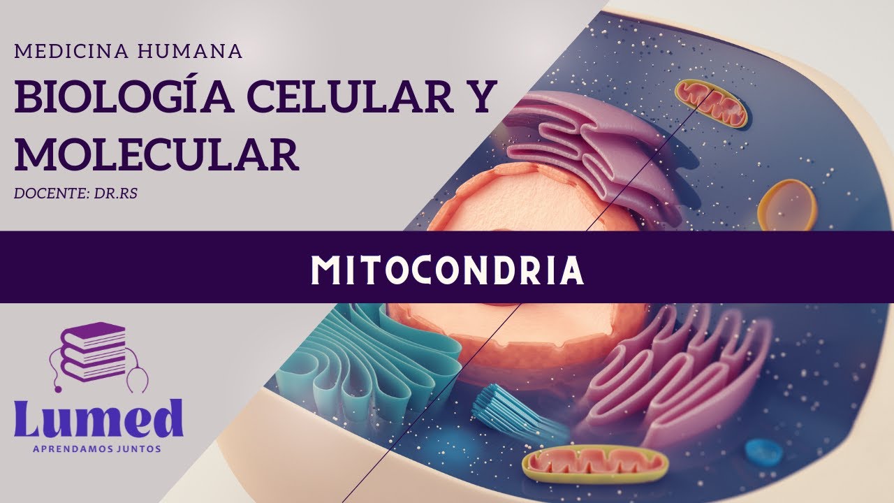 Biología Celular y Molecular - Mitocondria
