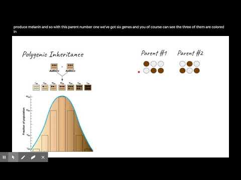 Polygenic Traits
