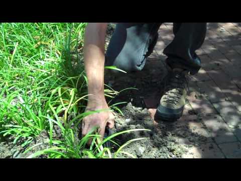 Root Watering System Video Gallery - Rootwell Products, Inc.