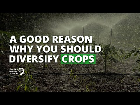 A Good Reason Why You Should Diversify Crops #shorts