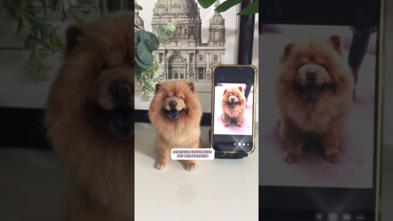 I 'revived' this dog in 15 days, Photo-customized ultra-realistic 100% replica of pet memorabilia