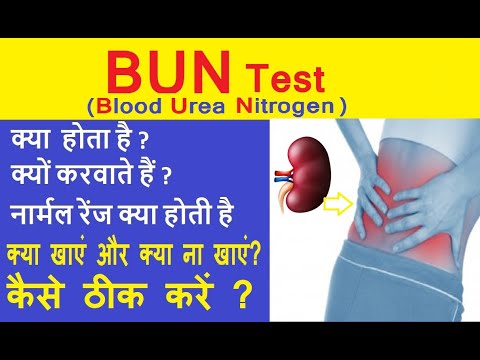 BUN test in hindi | BUN ( Blood Urea Nitrogen ) test in hindi | BUN test normal range |