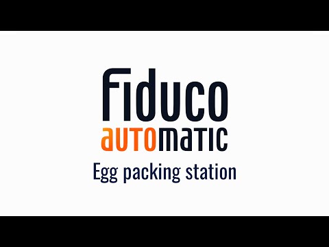 Fiduco Automatic BV - Egg packing station 2