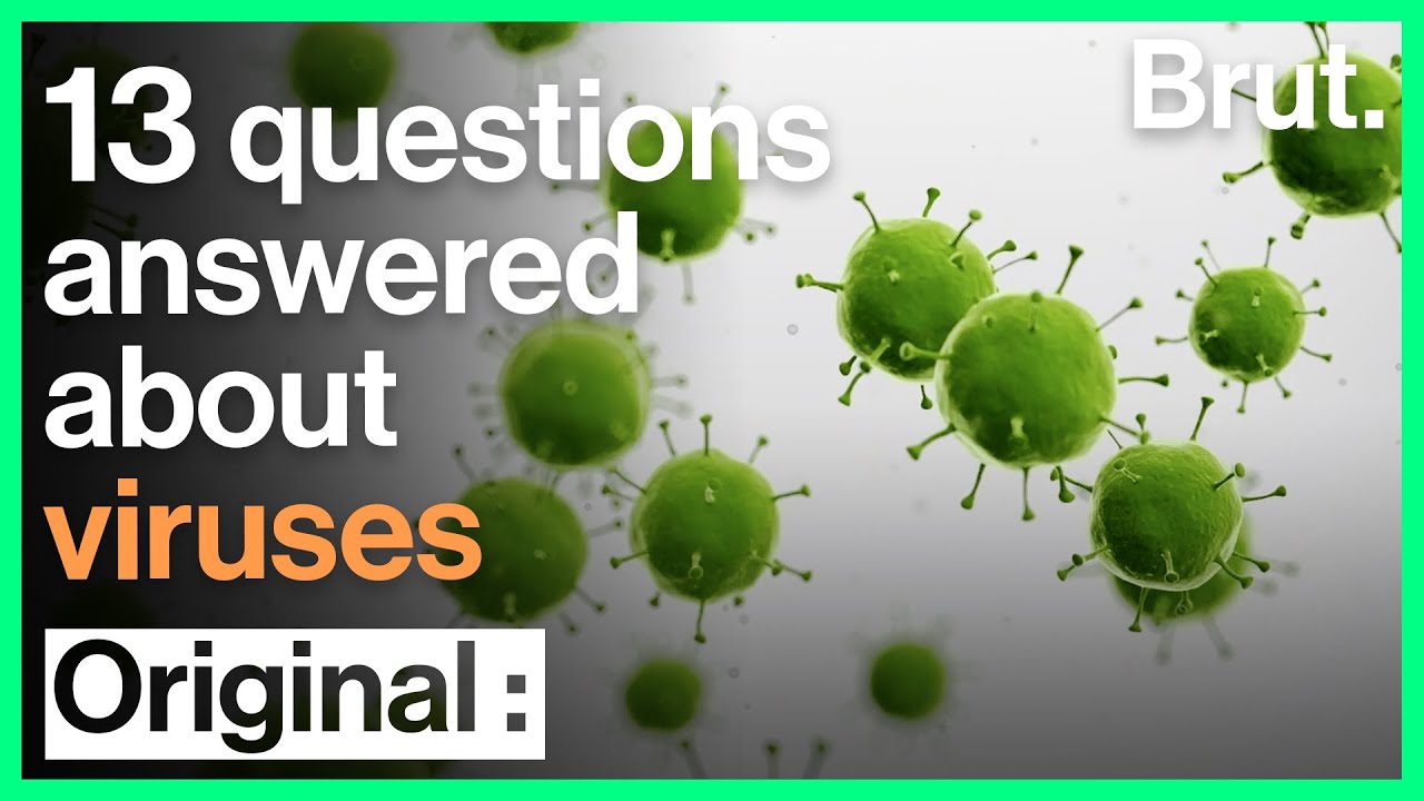 13 Simple Questions Answered about Viruses