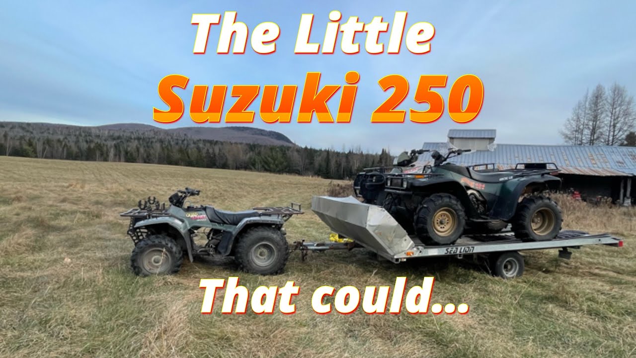 What SIZE ATV do You really need??? Watch what this little Suzuki 250 can do!