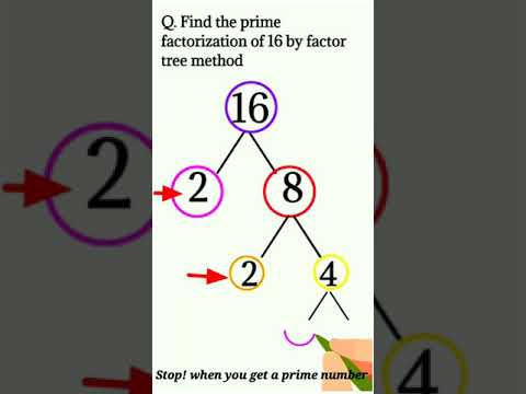 factor tree method | factor tree | prime factorization | factor tree method | #maths #shorts
