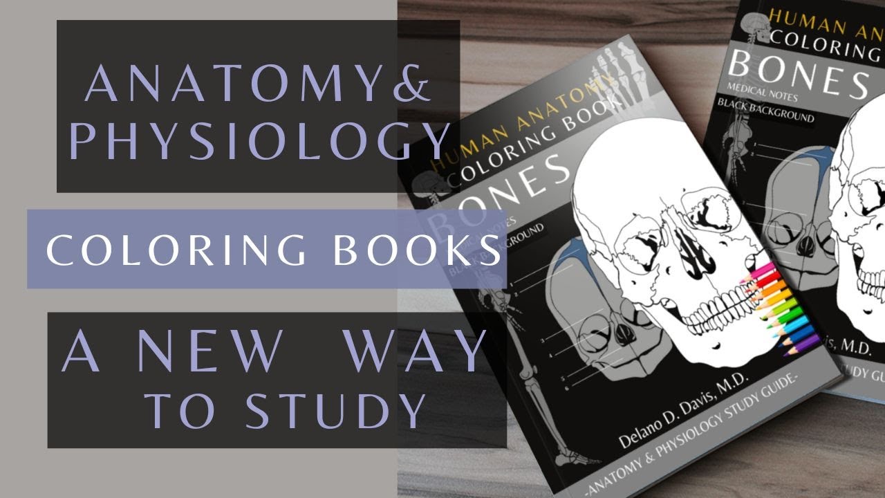Anatomy and Physiology Study Guide | Bones Gross Anatomy Coloring Books for study. #skeleton #shorts