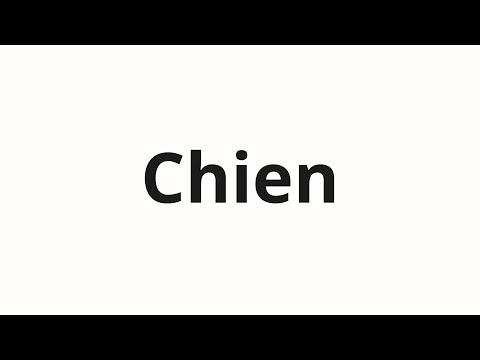 How to pronounce Chien