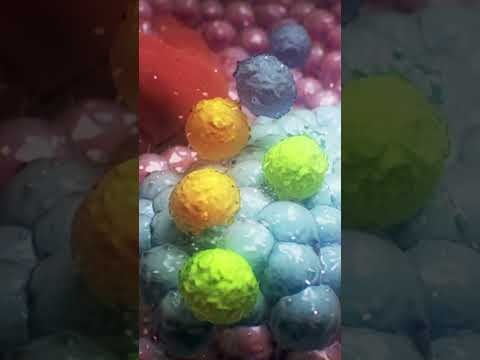 Enjoy your SciArt clip! | Medical Animation