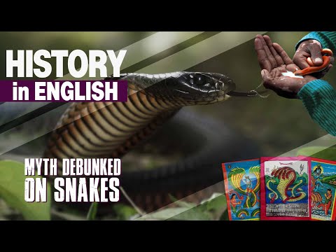 Myth debunked on Snakes || History in English