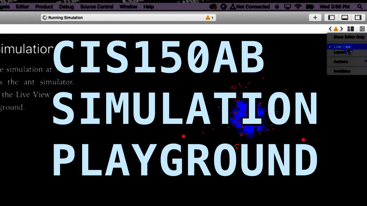 CIS150AB: Simulation Playground