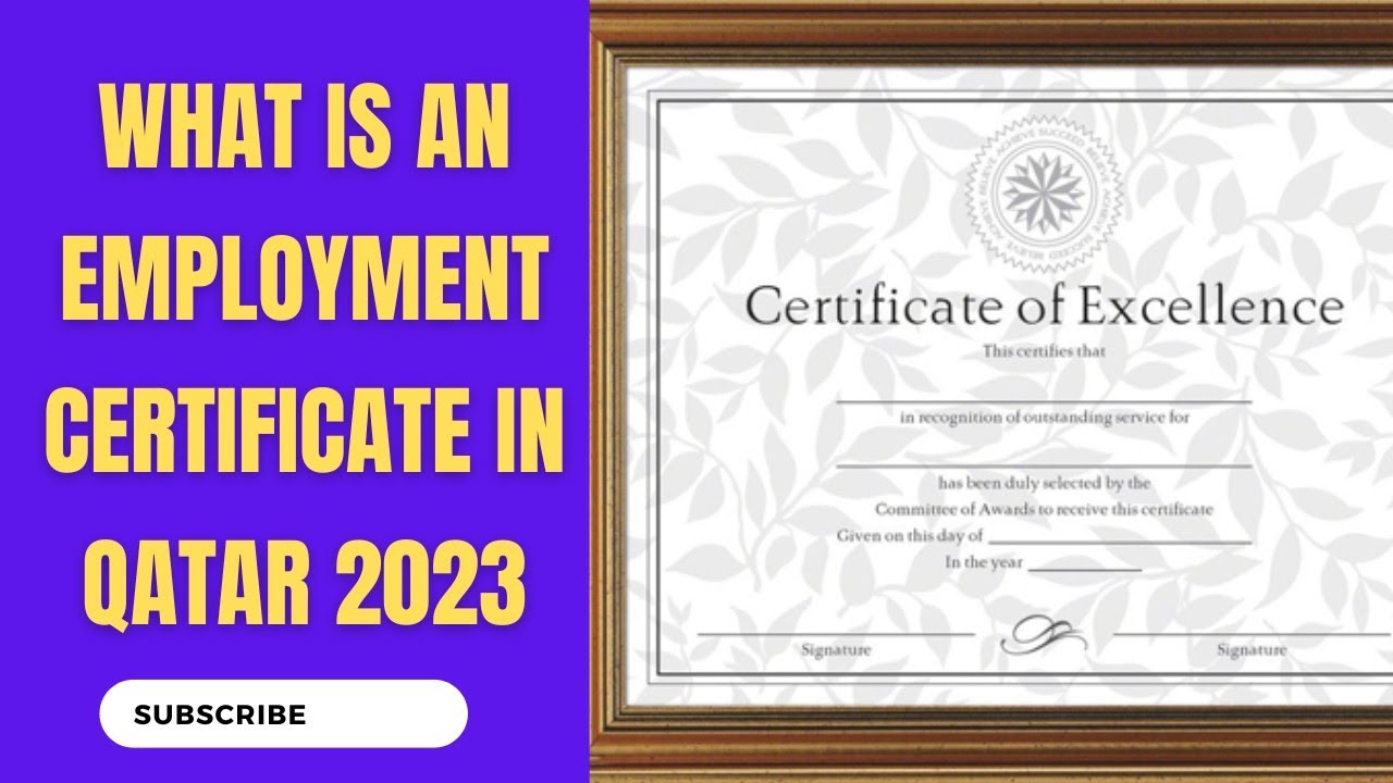 Certificate of Service in Qatar: The Ultimate Guide for 2023 | Mexcreationtv