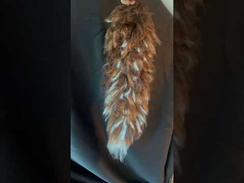 Yarn tail tutorial theriandiy #yarncrafting #therian #theriangear #therians #alterhuman #diycrafts