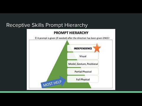 What is Prompting?