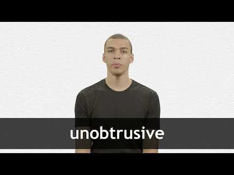 UNOBTRUSIVE 释义 | 柯林斯英语词典
