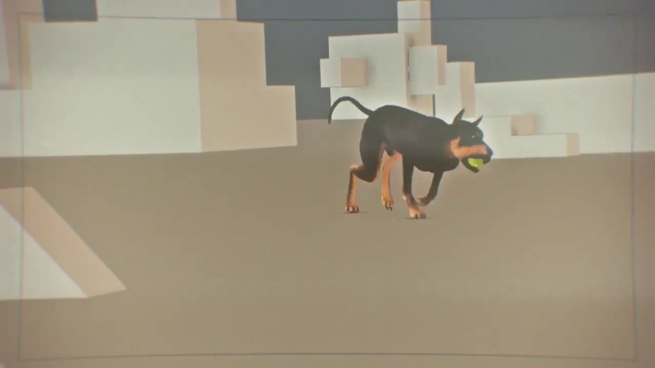 Animal demo reel