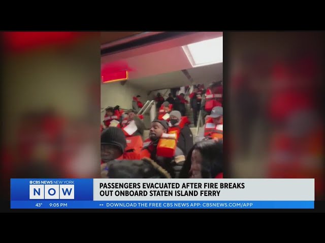 WATCH: Video shows hundreds of passengers being evacuated as fire ...