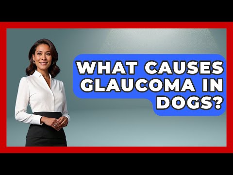 What Causes Glaucoma In Dogs? - Optometry Knowledge Base