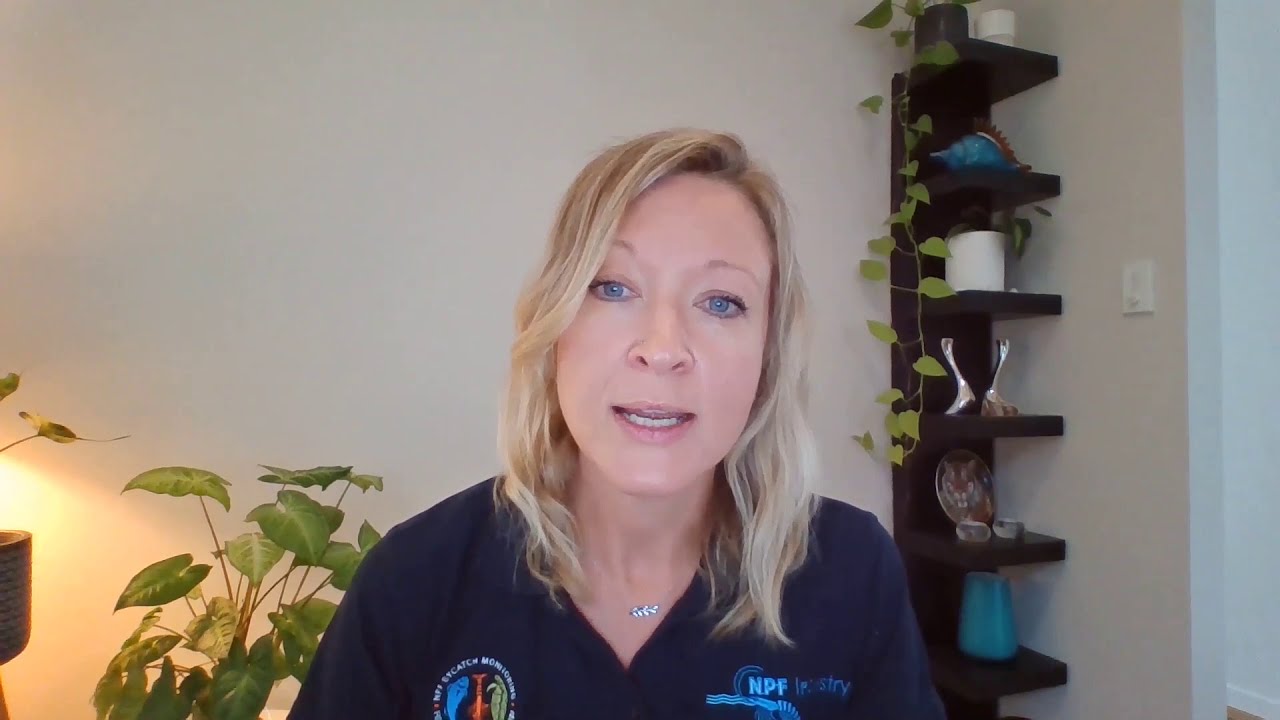 Reducing Bycatch in Australia's Northern Prawn Fishery