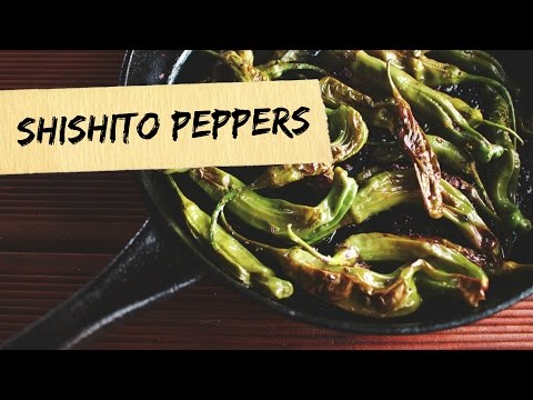 Blistered Shishito Peppers | VlogNoms | Just Eat Life