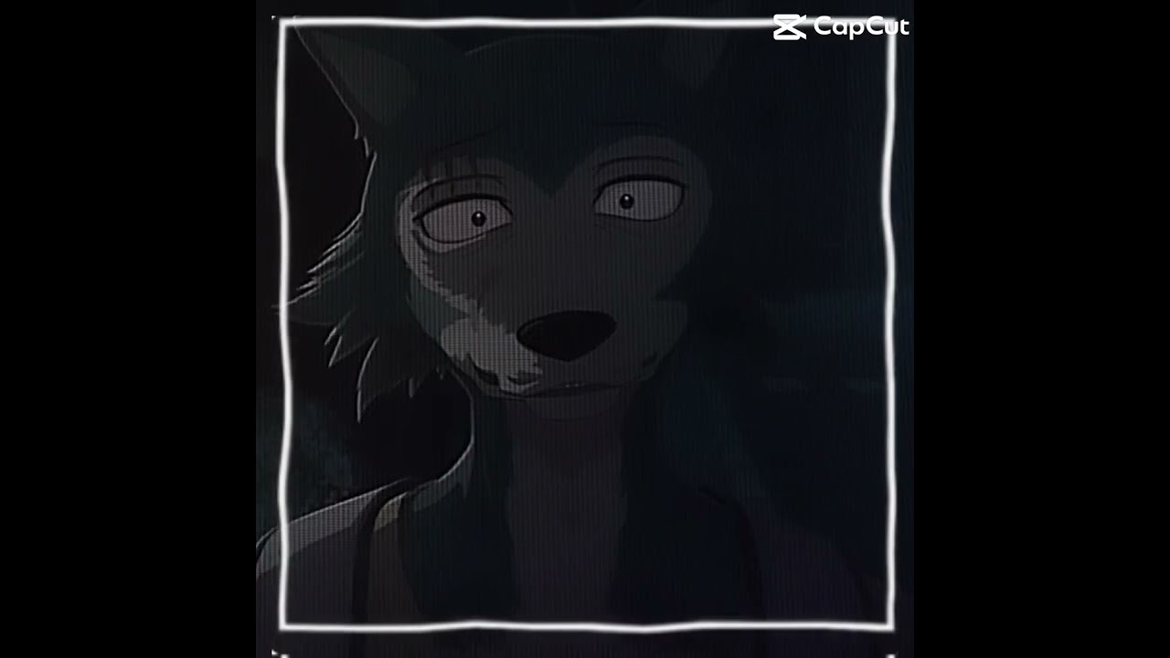 Looking Beautiful Legoshi 😉👍🐺#beastars #capcut #legoshi #closeup