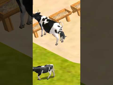 #game Cow breeding amazing video