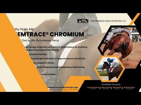 PHN® KemTRACE® Chromium Performance Horses 2024