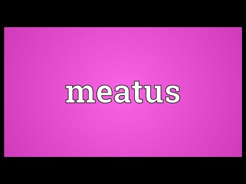 Meatus Meaning