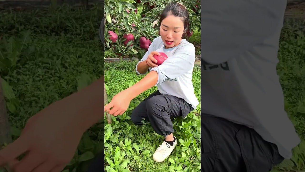 Shake the Tree… Watch What Happens 😱🍎