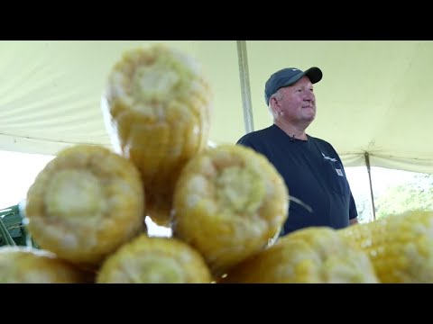 Reese corn farms continues sweet corn tradition for over 70 years