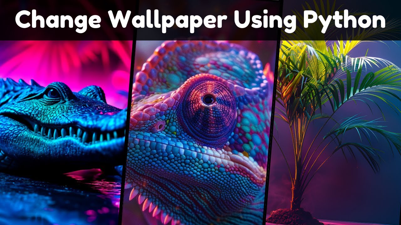 Python Change Your Desktop Wallpaper Dynamically Full Tutorial