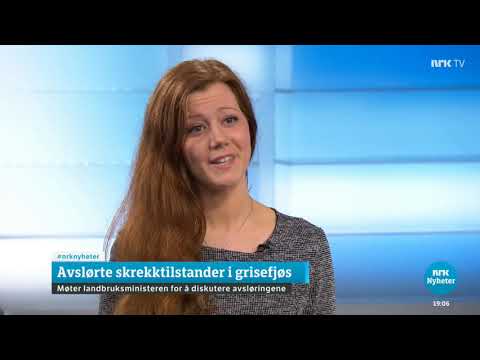 20.06.2019 NRK Dagsrevyen debatt Norun Haugen og landbruksminister Olaug Bollestad