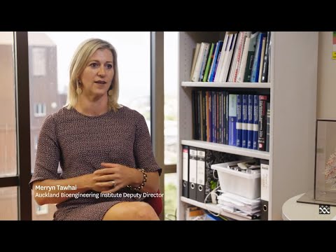 Auckland Bioengineering Institute at University of Auckland | About the ...