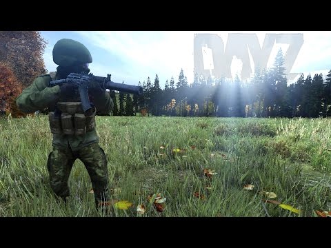 Steam Community :: Video :: AKS-74u Destruction | DayZ .60